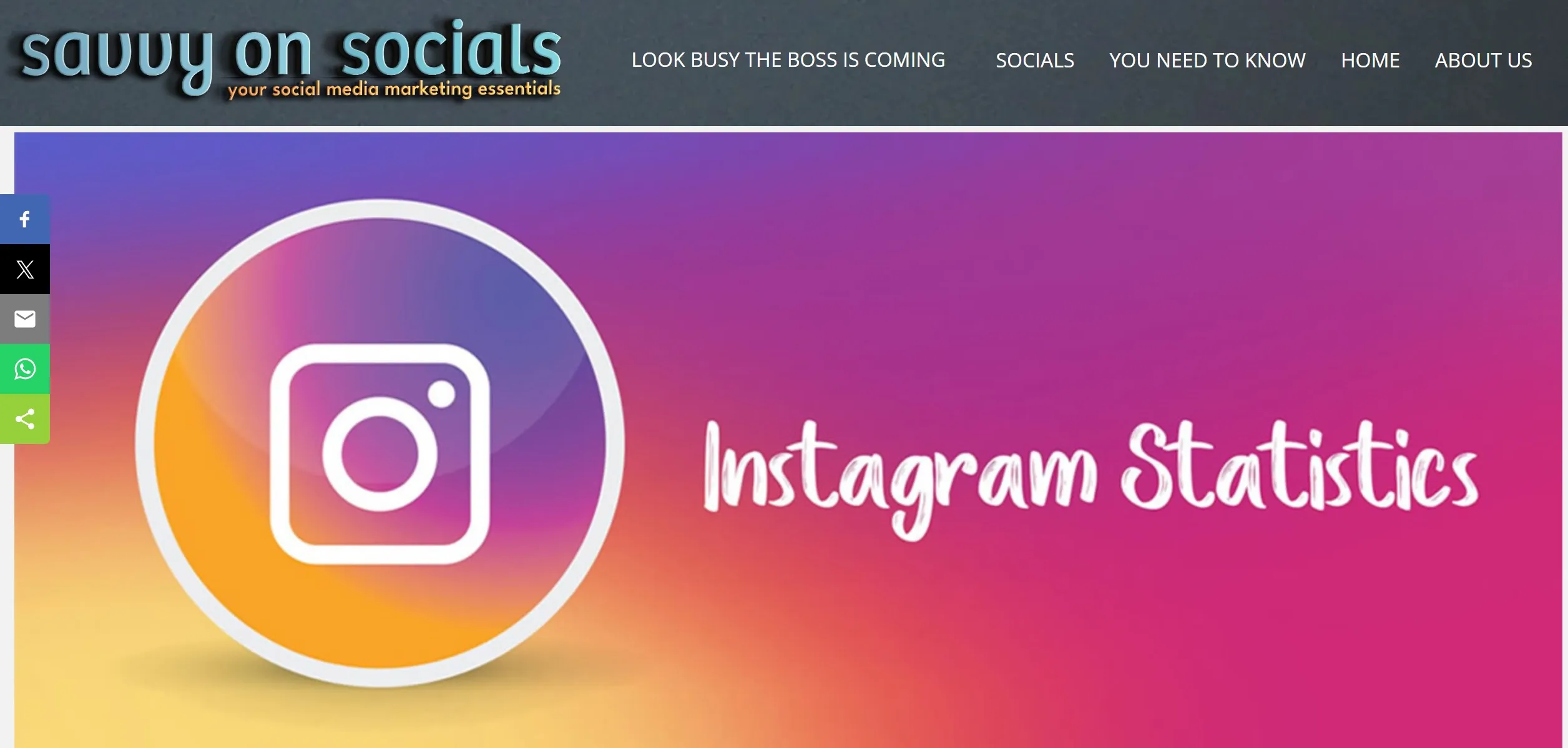 Top Instagram Statistics & Trends Every Business Should See